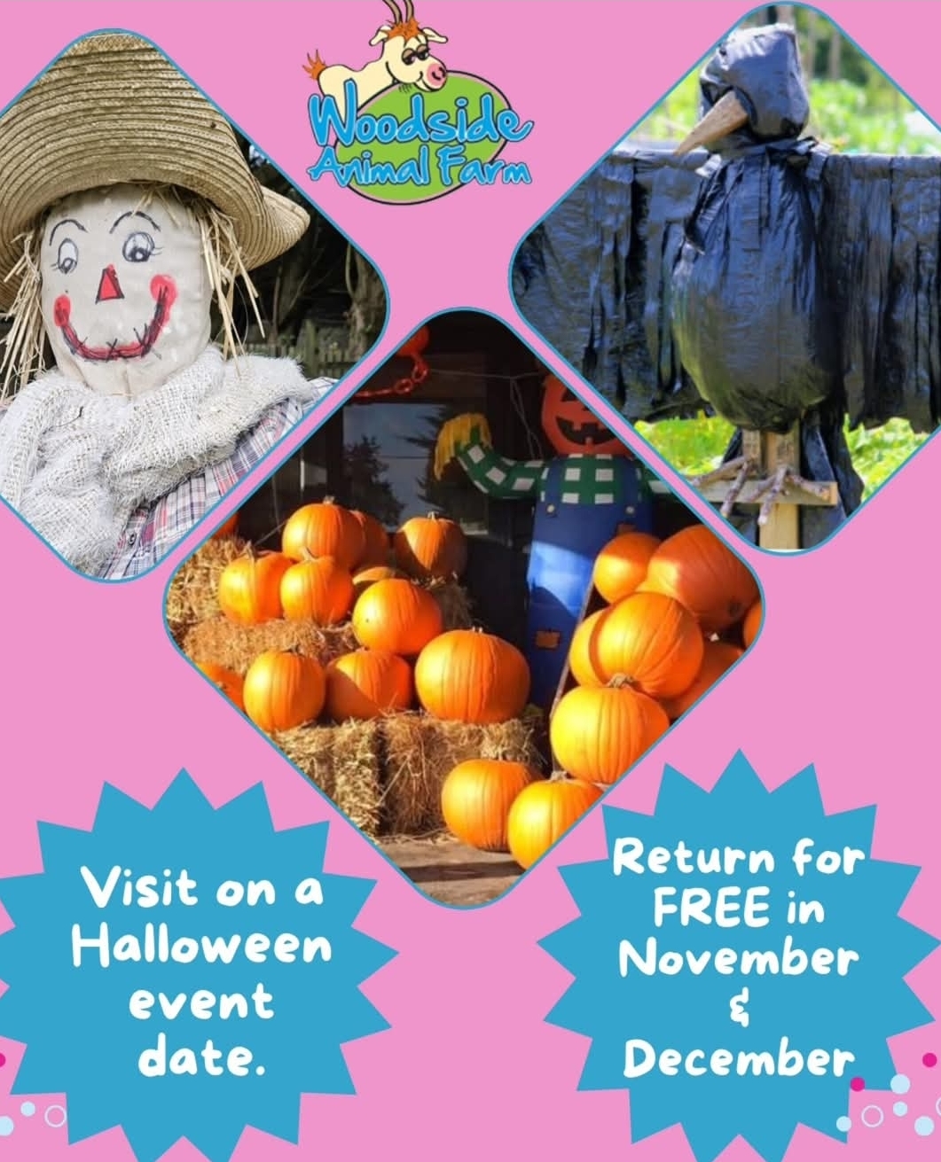 🧙‍♀️ Halloween at Woodside Animal Farm 2025 - Luton | What's Up ...