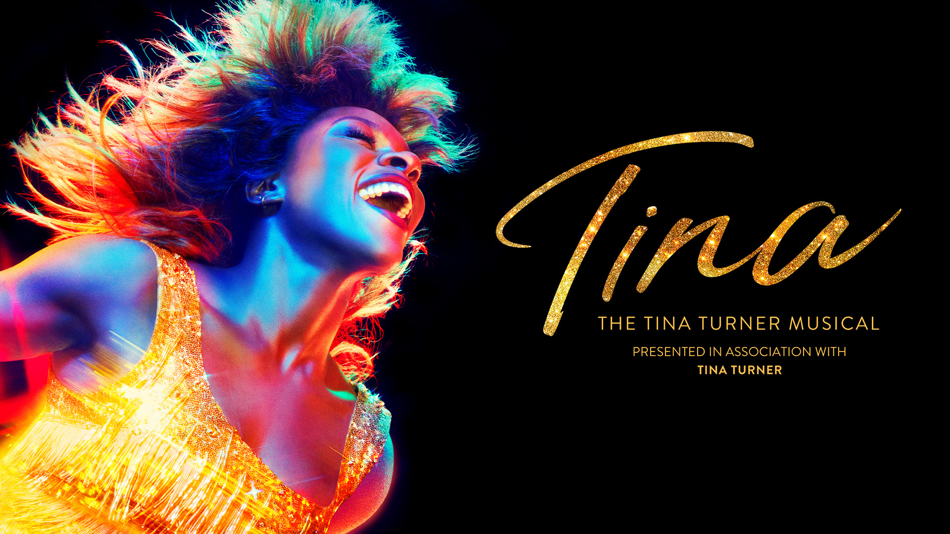 🎤 TINA - Tina Turner Musical - Milton Keynes Theatre (2026) | What's Up ...